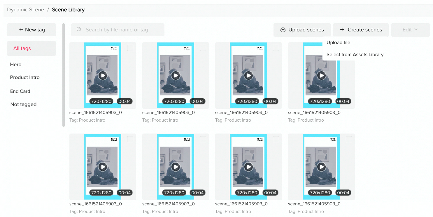 About Dynamic Scene | TikTok Ads Manager